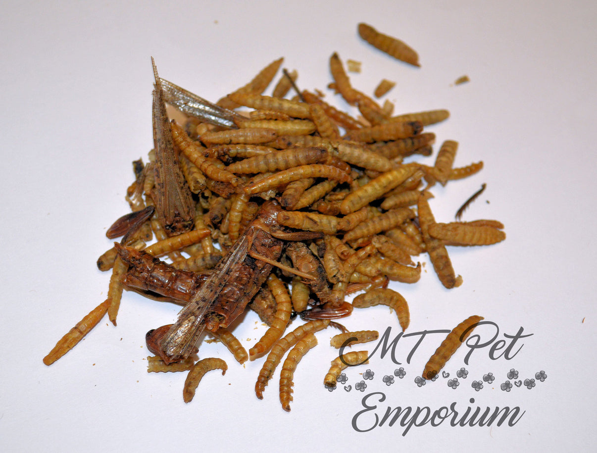 Insect Trail Mix - Hermit Crab Food, Fish Food, Chicken Snack – MT Pet ...